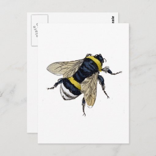 Bee Postcard | Zazzle