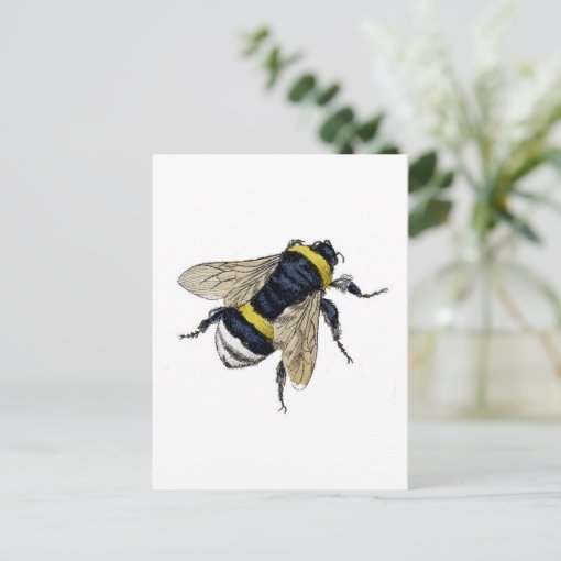 Bee Postcard | Zazzle
