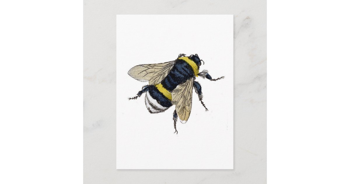 Bee Postcard | Zazzle