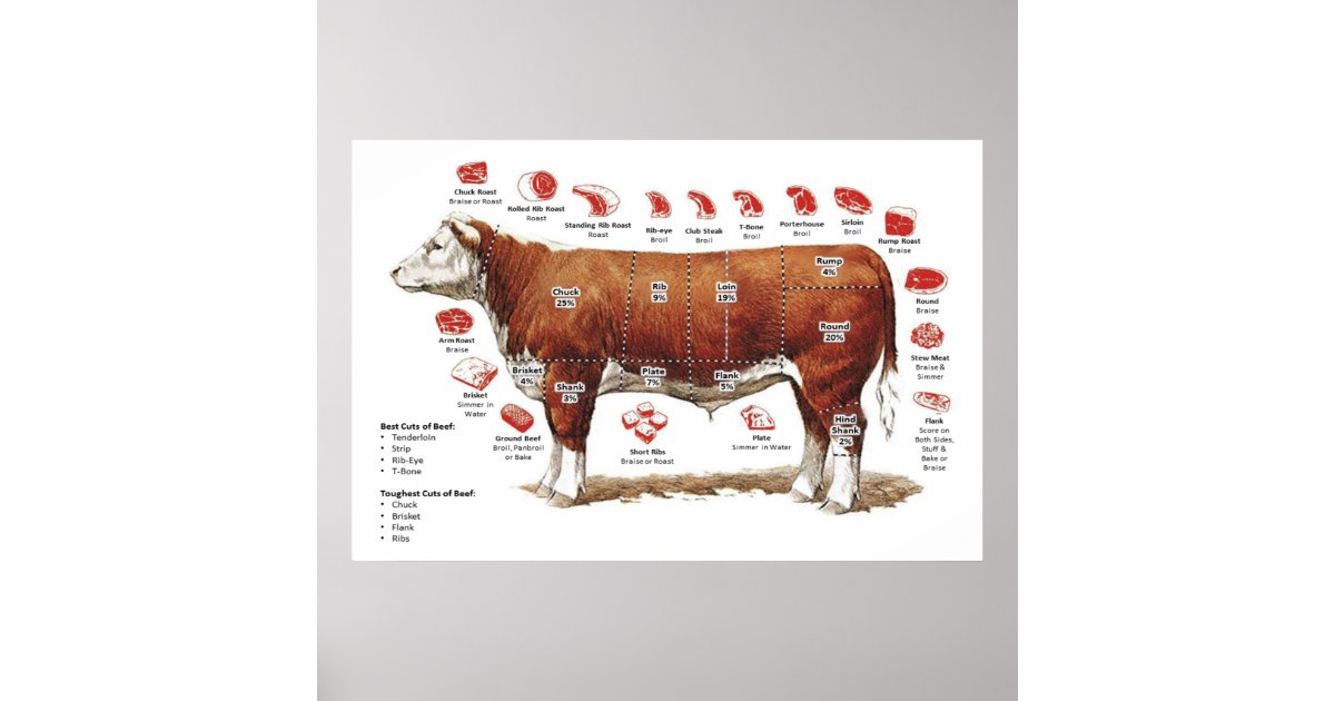 Beef Cuts Chart Poster | Zazzle