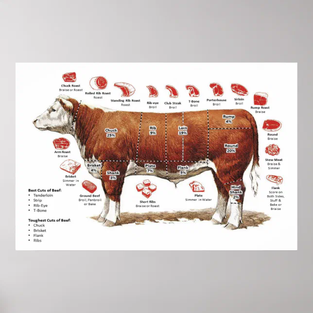Beef Cuts Chart Poster | Zazzle