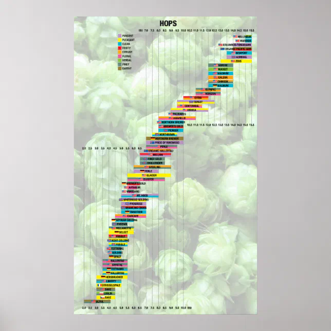 Beer By The Numbers – Hops Poster | Zazzle