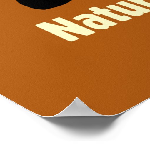 Beer: Nature's Perfect Food Poster | Zazzle