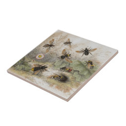 Bees Antique Lithograph print tile | Zazzle