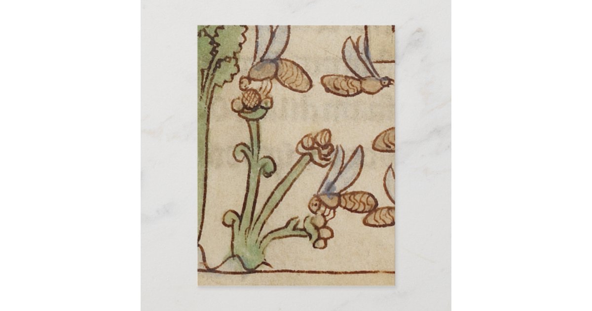 Bees from a Medieval Manuscript Postcard | Zazzle