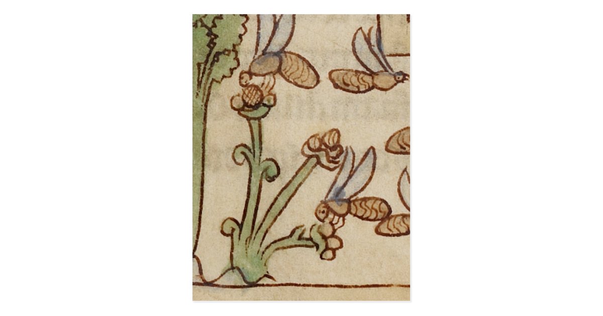 Bees from a Medieval Manuscript Postcard | Zazzle.com