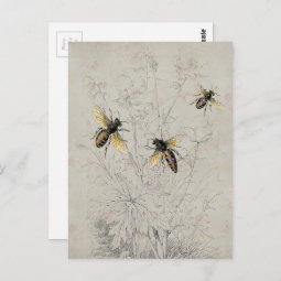 Bees Postcard | Zazzle