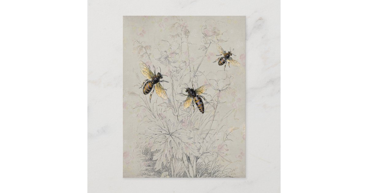 Bees Postcard | Zazzle