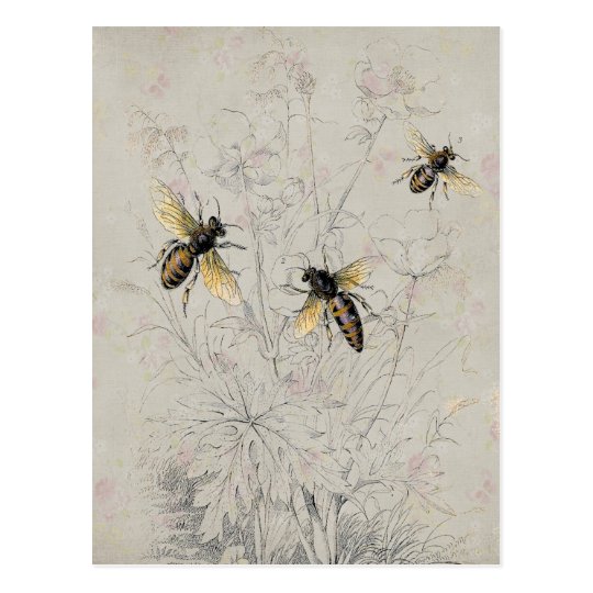 Bees Postcard | Zazzle.com