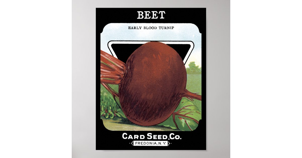Beet Card Seed Co. packet Vintage Fredonia, NY Poster | Zazzle