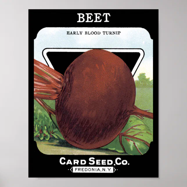 Beet Card Seed Co. packet Vintage Fredonia, NY Poster | Zazzle