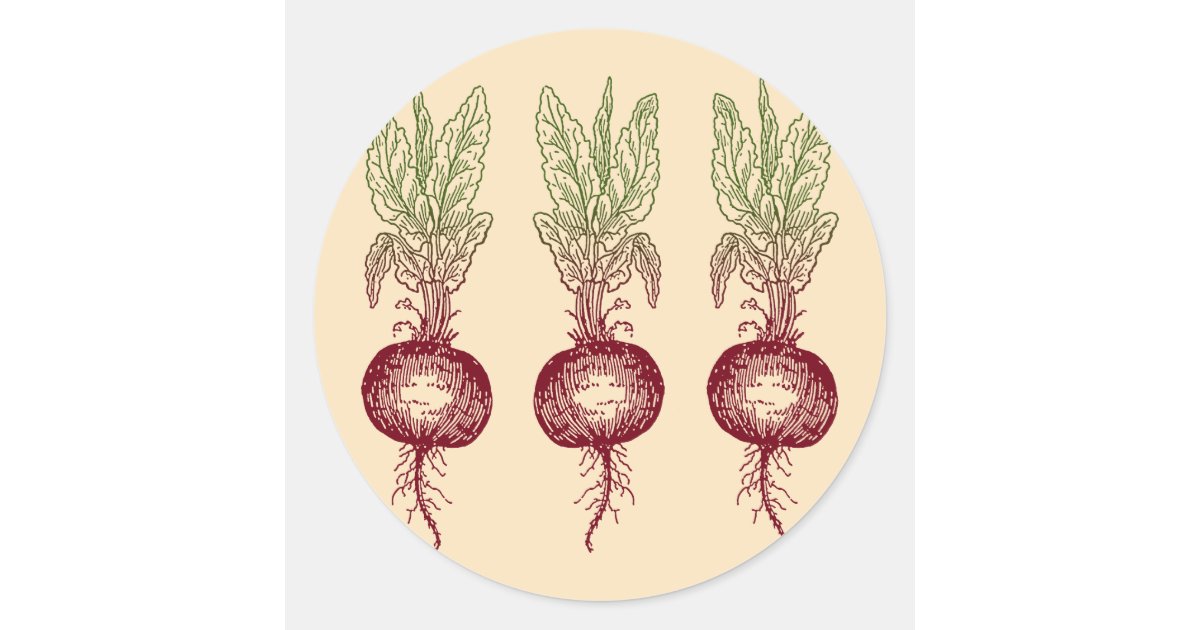 Beet Classic Round Sticker | Zazzle