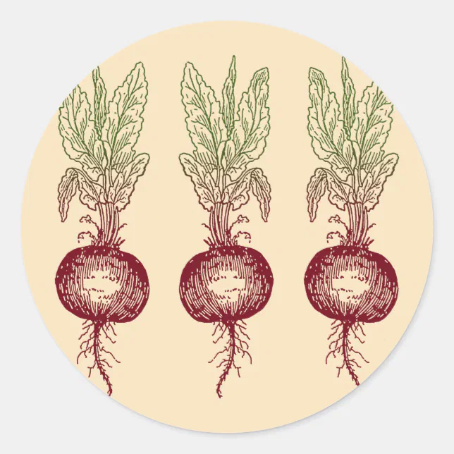 Beet Classic Round Sticker | Zazzle