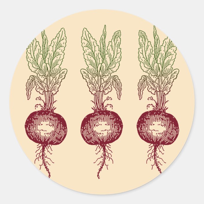 Beet Classic Round Sticker | Zazzle.com