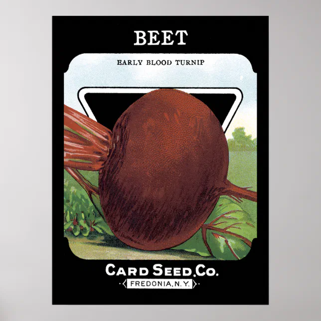 Beet Seed Packet Label Poster | Zazzle