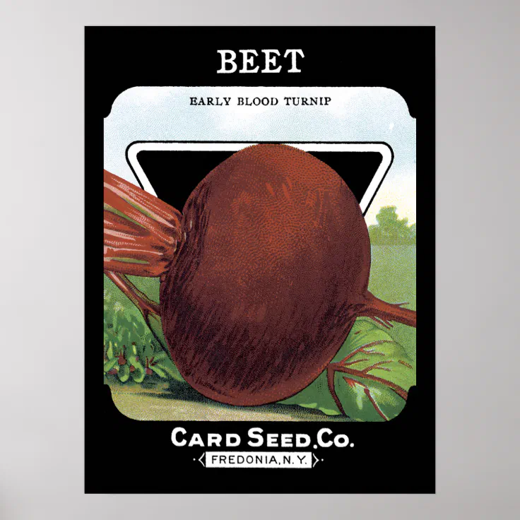 Beet Seed Packet Label Poster | Zazzle