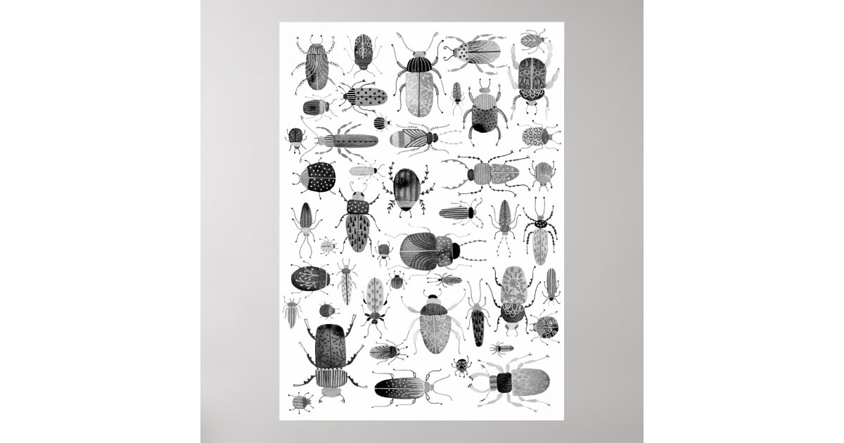 Beetle Black & White Poster | Zazzle