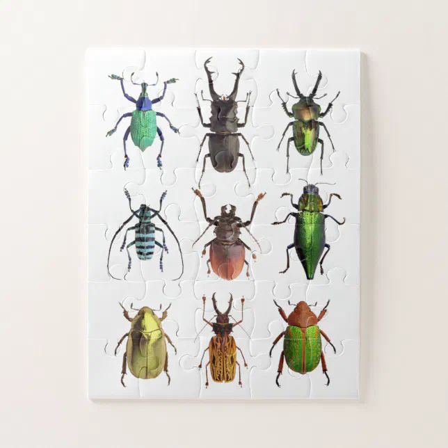 Beetlemania Beautiful Beetle Bugs Jigsaw Puzzle | Zazzle