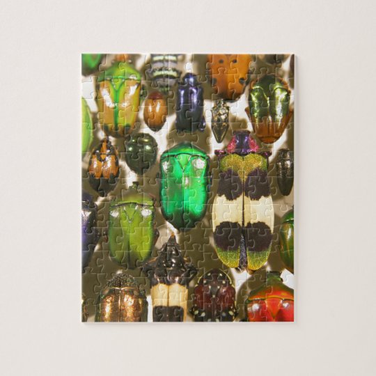 Beetles, Bugs and Insects Jigsaw Puzzle | Zazzle.com