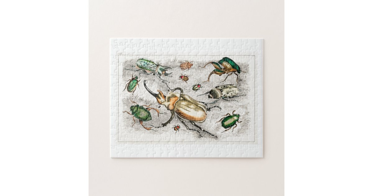 Beetles Bugs Insects Jigsaw Puzzle | Zazzle