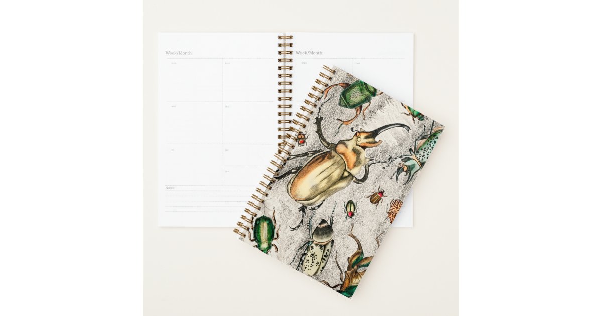 Beetles Bugs Insects Planner | Zazzle
