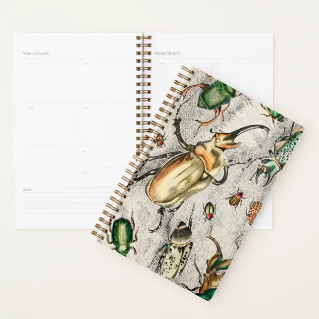 Beetles Bugs Insects Planner | Zazzle