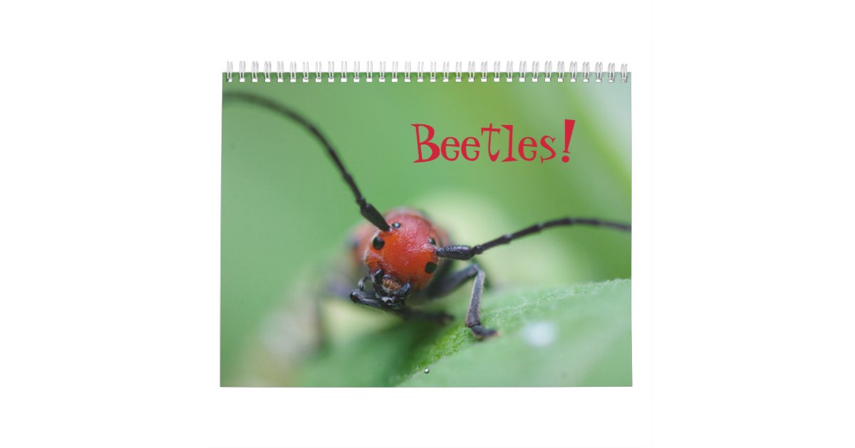 Beetles! Calendar | Zazzle