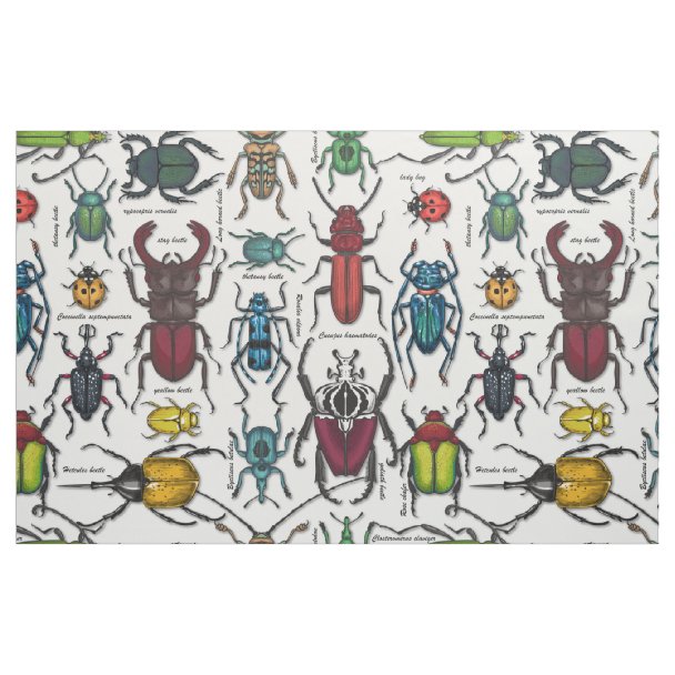 Beetles and Bugs Fabric | Zazzle