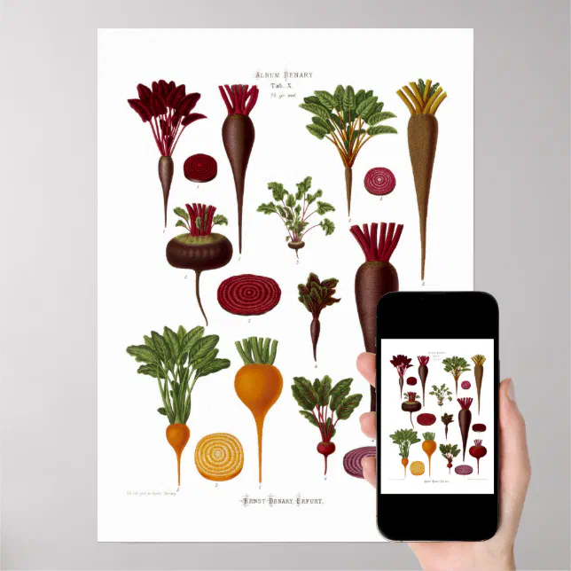 Beets Poster | Zazzle
