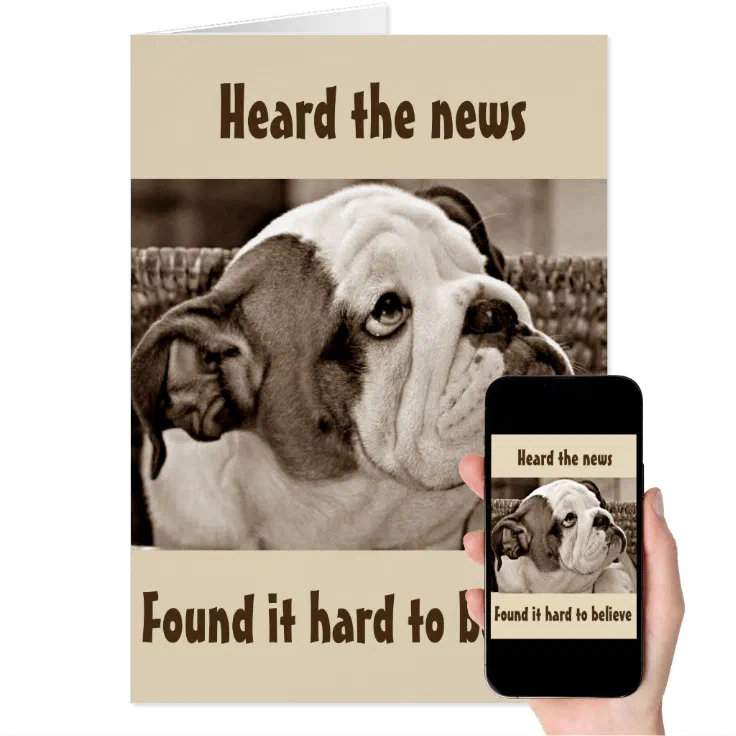 **BEFUDDLED BULL DOG** CAN'T BELIEVE YOU'RE **50** | Zazzle