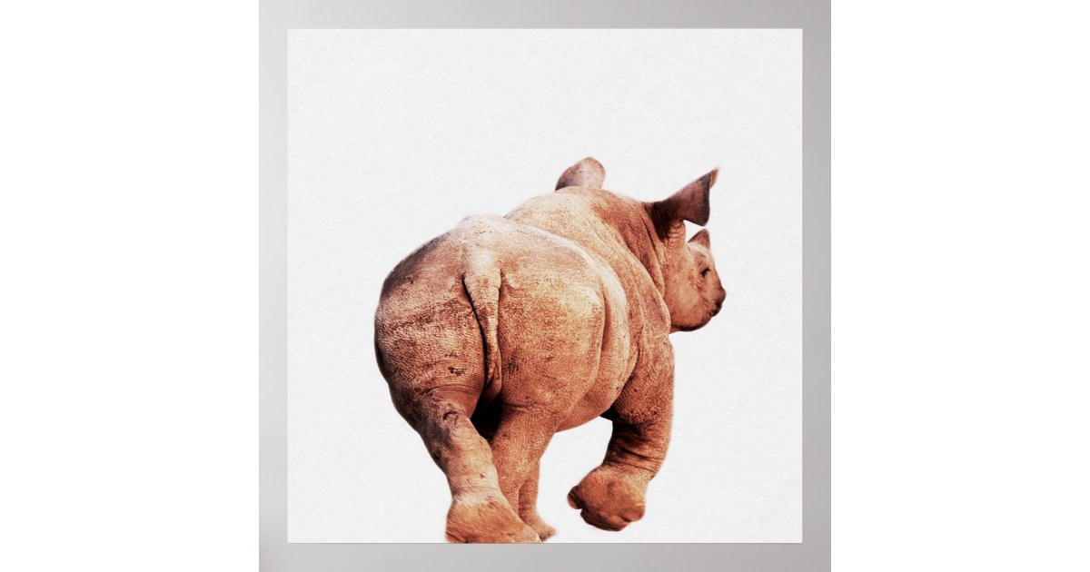 Behind Of The Hippo | Unique Design Poster | Zazzle