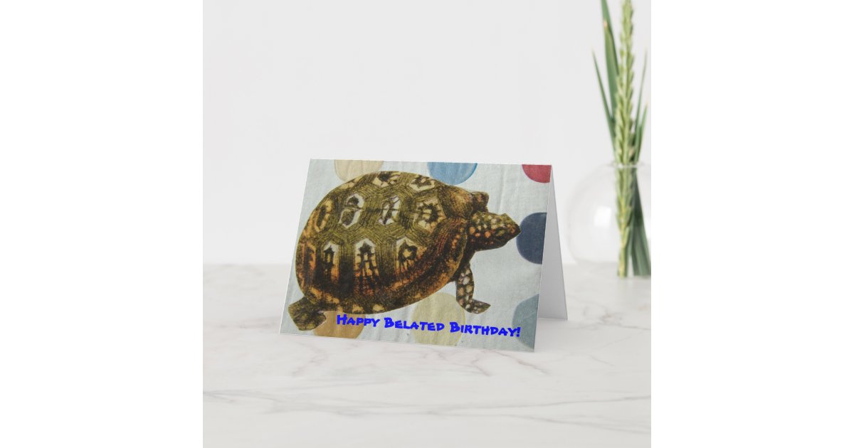 Belated Birthday Turtle Collage Card | Zazzle