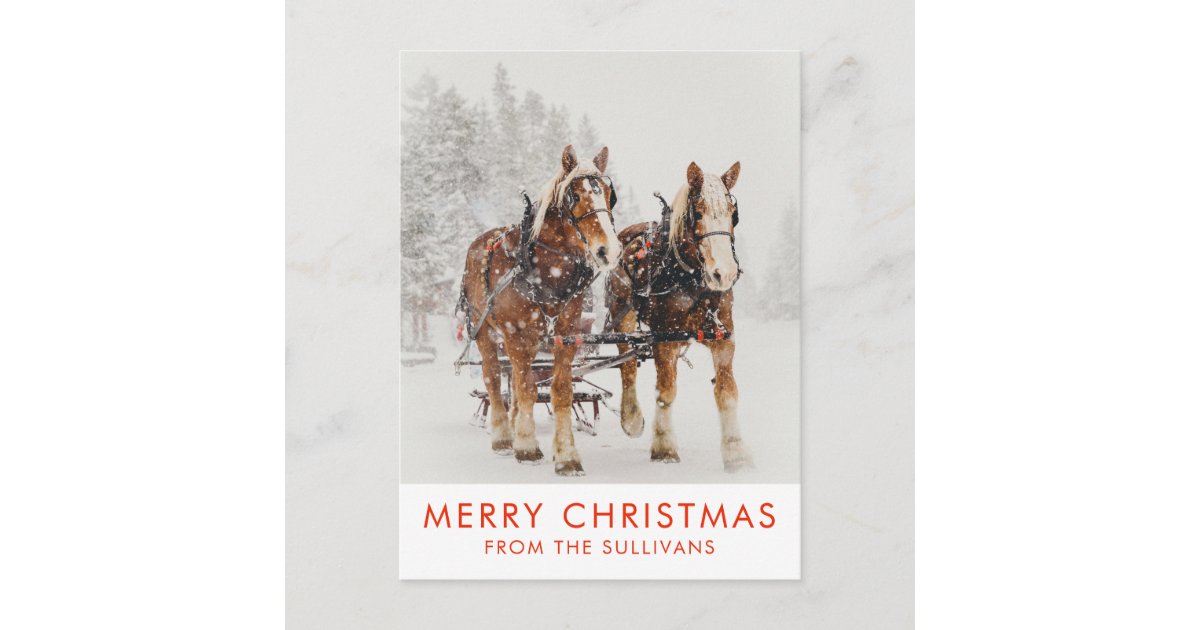 Belgian Horse Team Wintery Christmas Scene Postcard | Zazzle