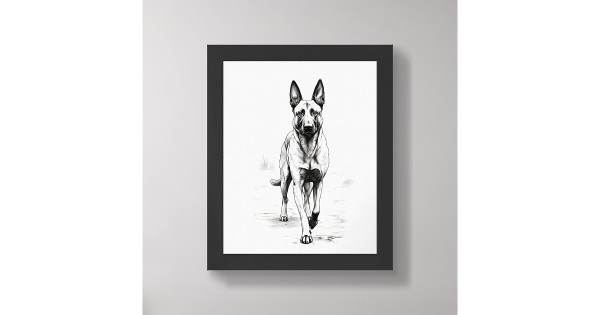 Belgian Malinois hand drawn sketch art drawing Framed Art | Zazzle