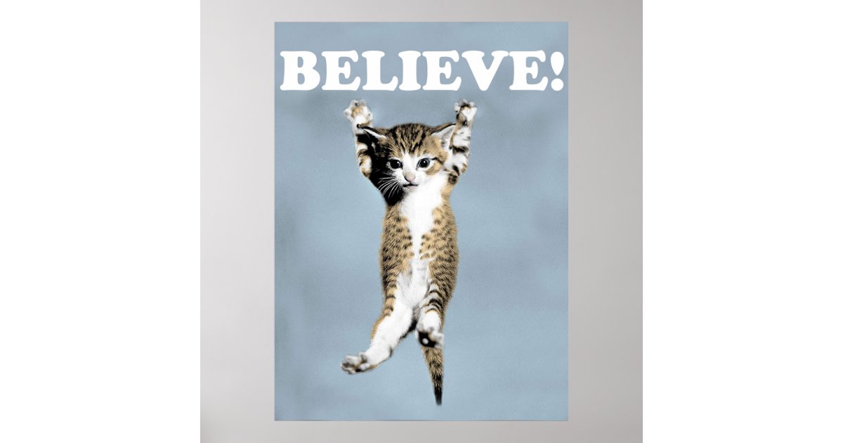 Believe Cat Poster | Zazzle