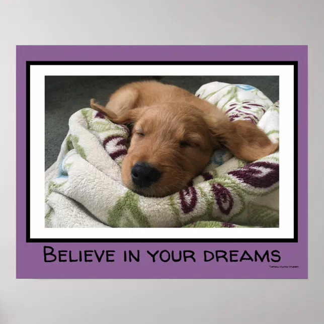 Believe in Your Dreams Poster | Zazzle