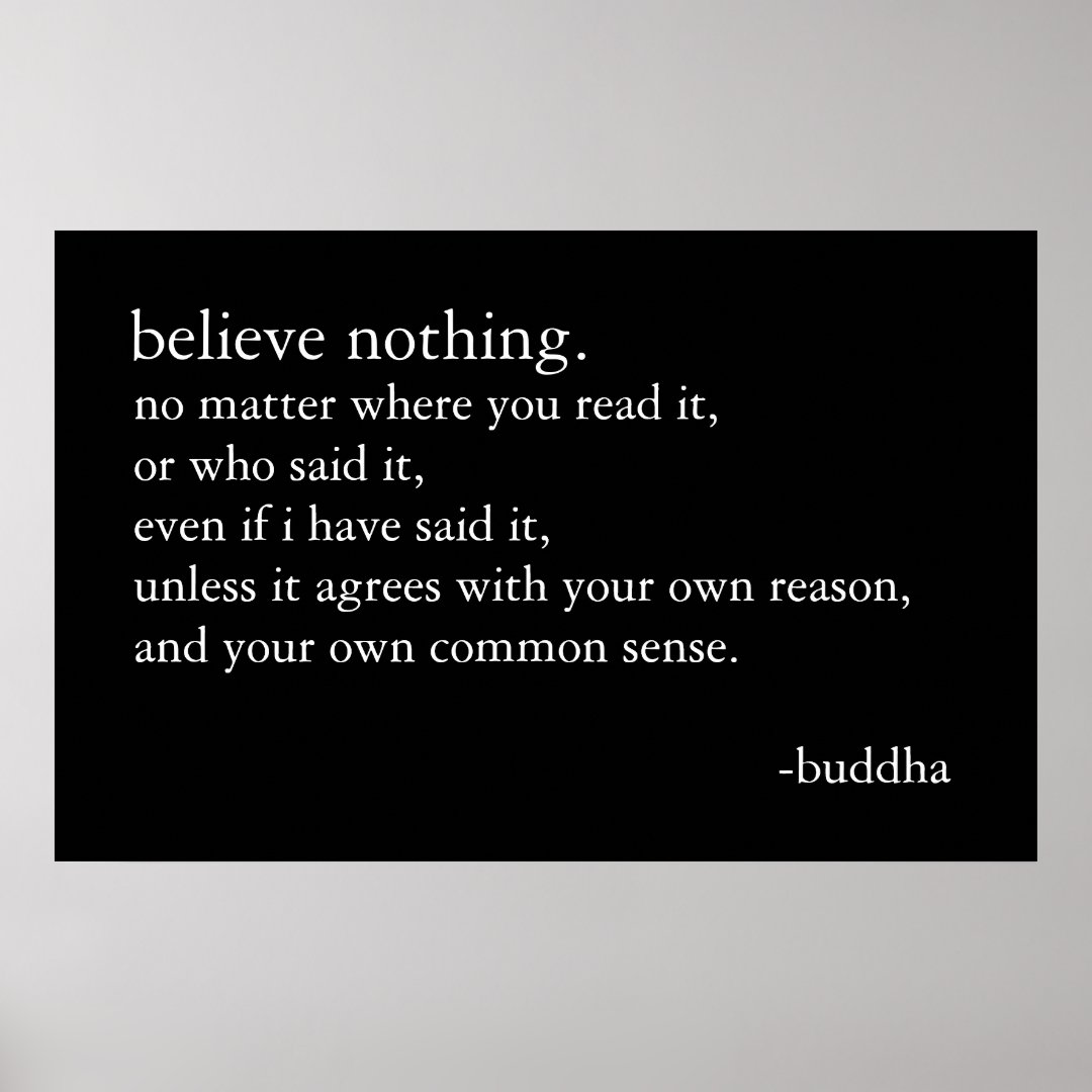 Believe Nothing Poster | Zazzle