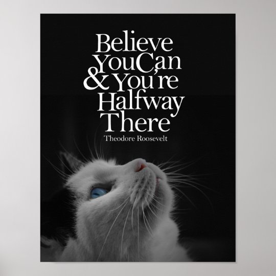 Inspirational Quotes With Pictures Of Cats at Brian Soriano blog