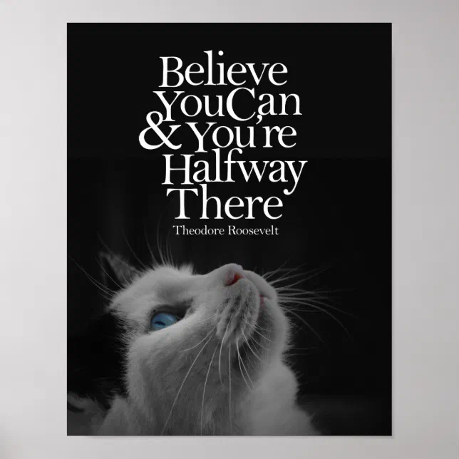 Believe You Can Beautiful Cat Motivational Quote Poster | Zazzle