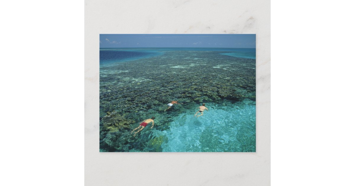 Belize, Barrier Reef, Lighthouse Reef, Blue Postcard | Zazzle