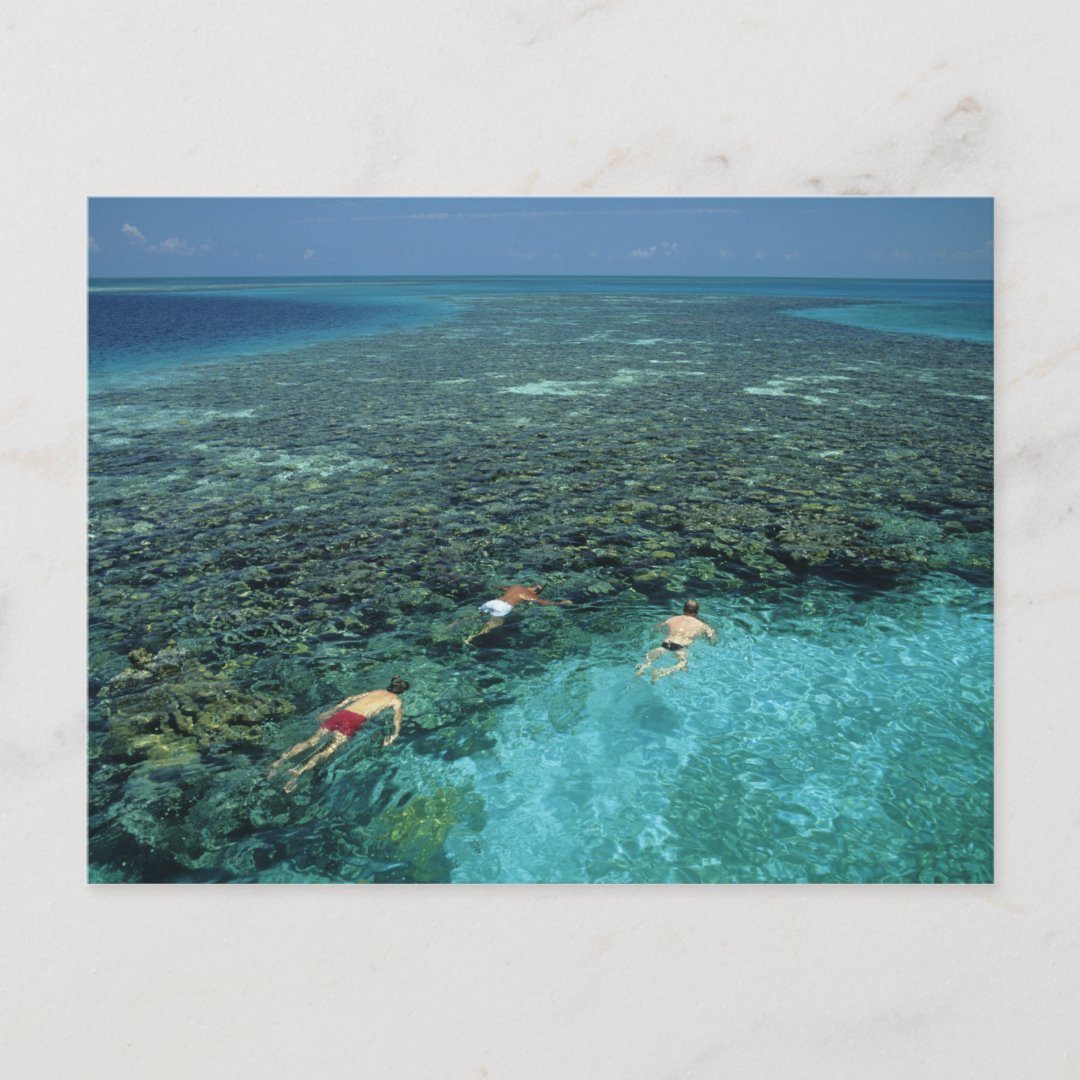 Belize, Barrier Reef, Lighthouse Reef, Blue Postcard | Zazzle