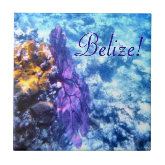 Belize! Purple Sea Fan Tile | Zazzle.com