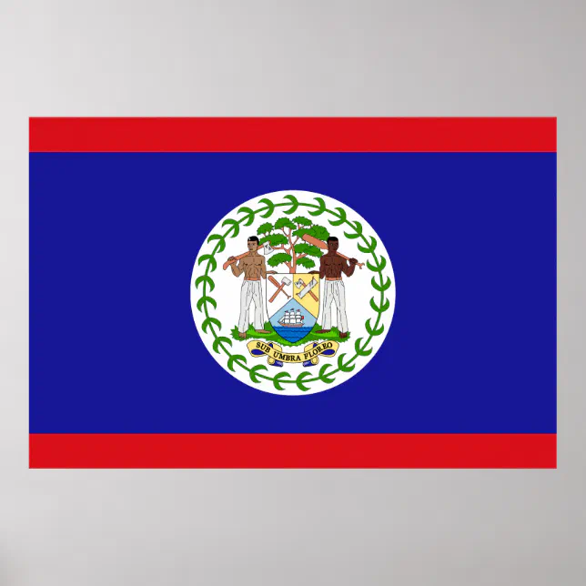 Belizean Flag Poster | Zazzle
