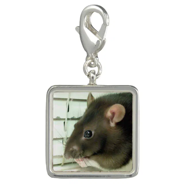 Bell the Rat Charm | Zazzle