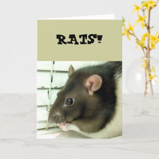 Bell The Rat Get Well Soon Card | Zazzle