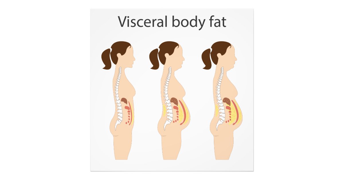 Belly fat photo print | Zazzle