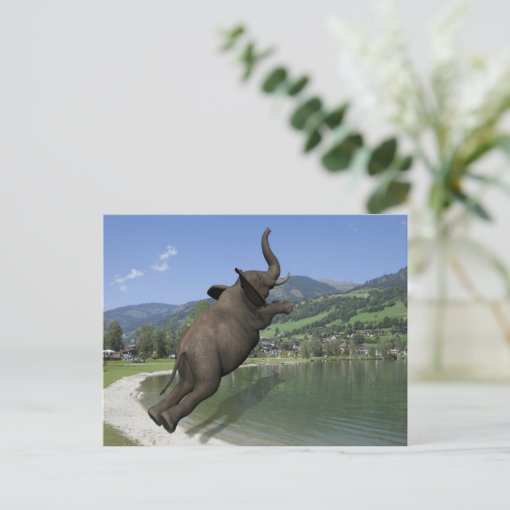 Belly Flop Elephant Postcard | Zazzle