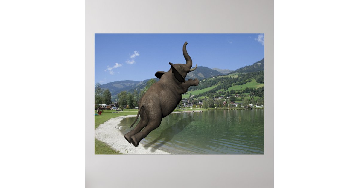 Belly Flop Elephant Poster | Zazzle