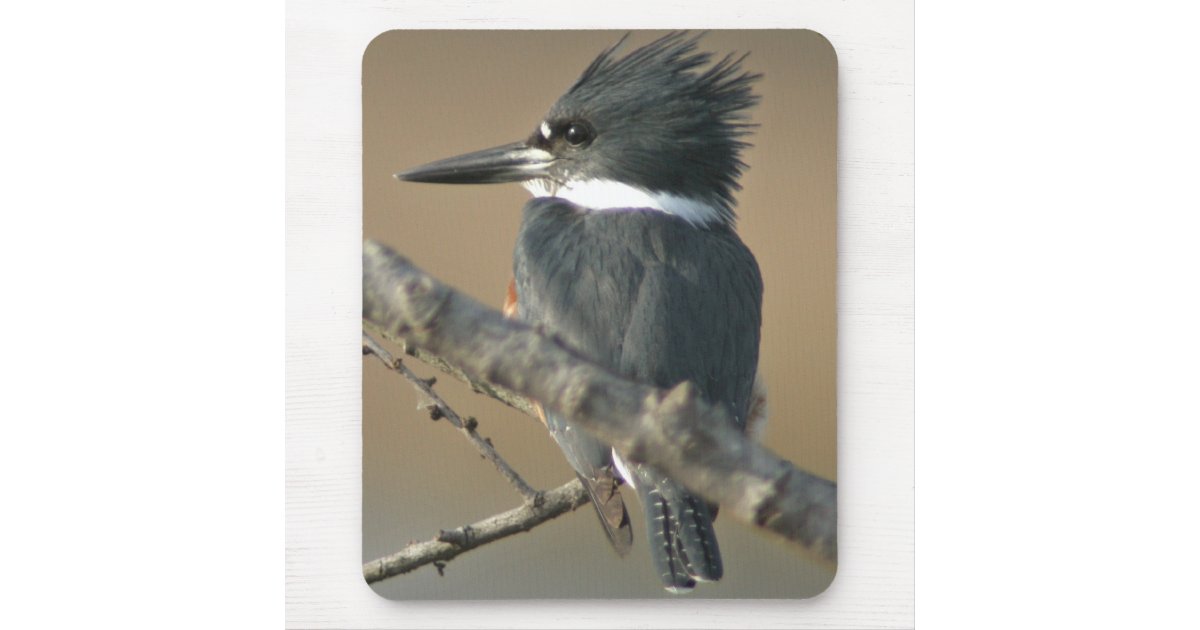 Belted Kingfisher Mouse Pad | Zazzle
