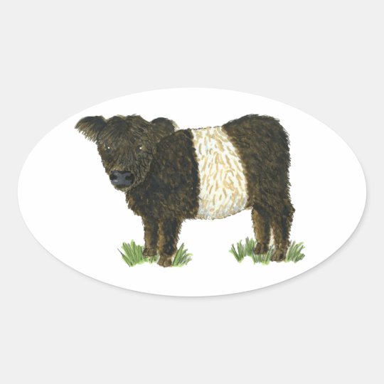 'Beltie' Belted Galloway Oval Sticker | Zazzle.com